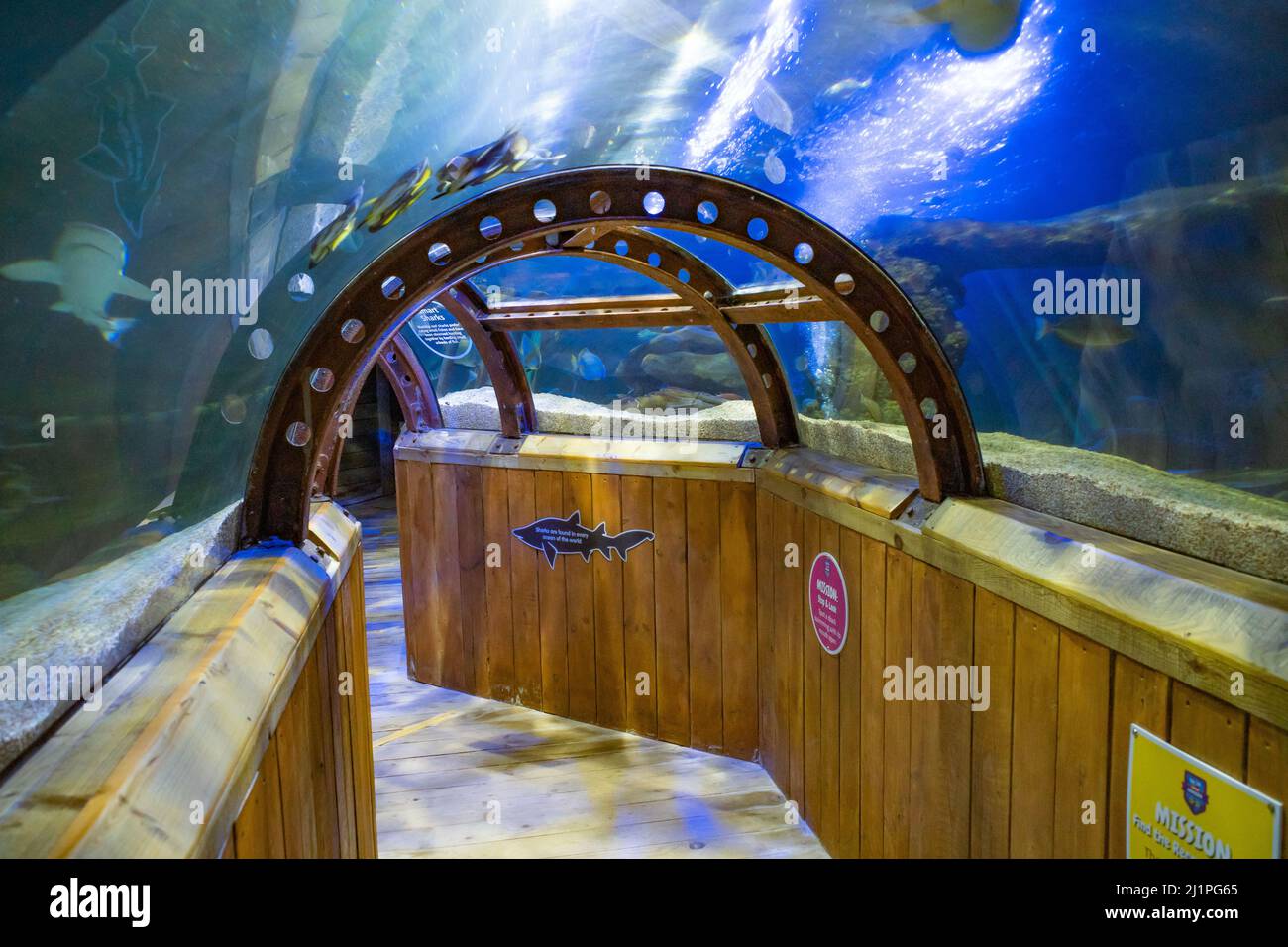 The path through the walk-through aquarium fish tank in Hunstanton Sea ...