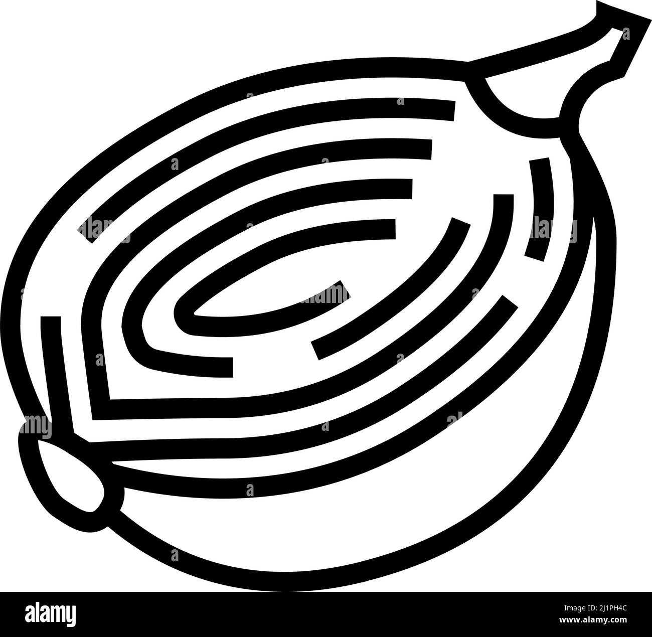 half onion line icon vector illustration Stock Vector Image & Art - Alamy