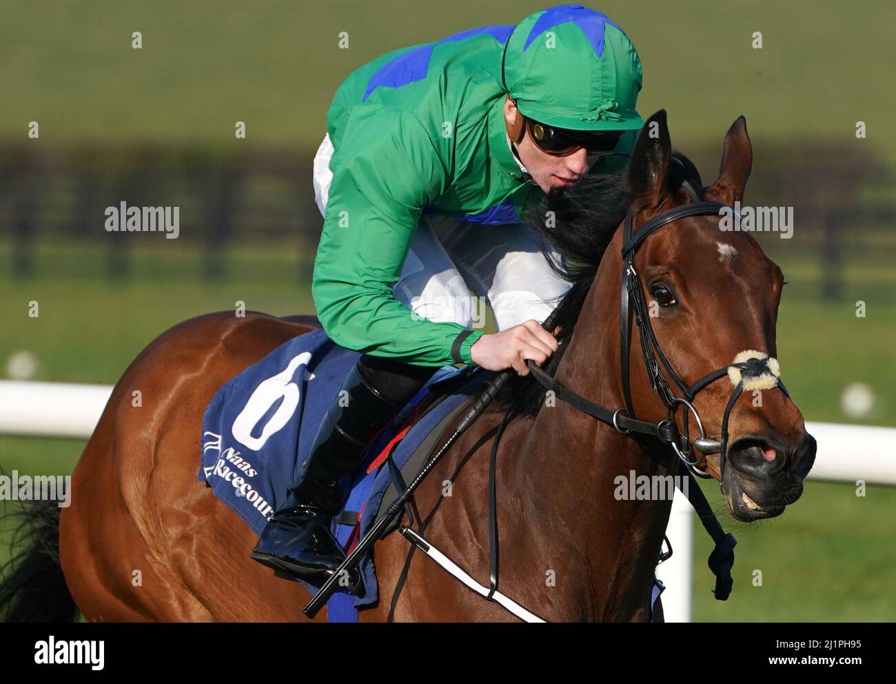 Nina carberry 2022 hi-res stock photography and images - Alamy