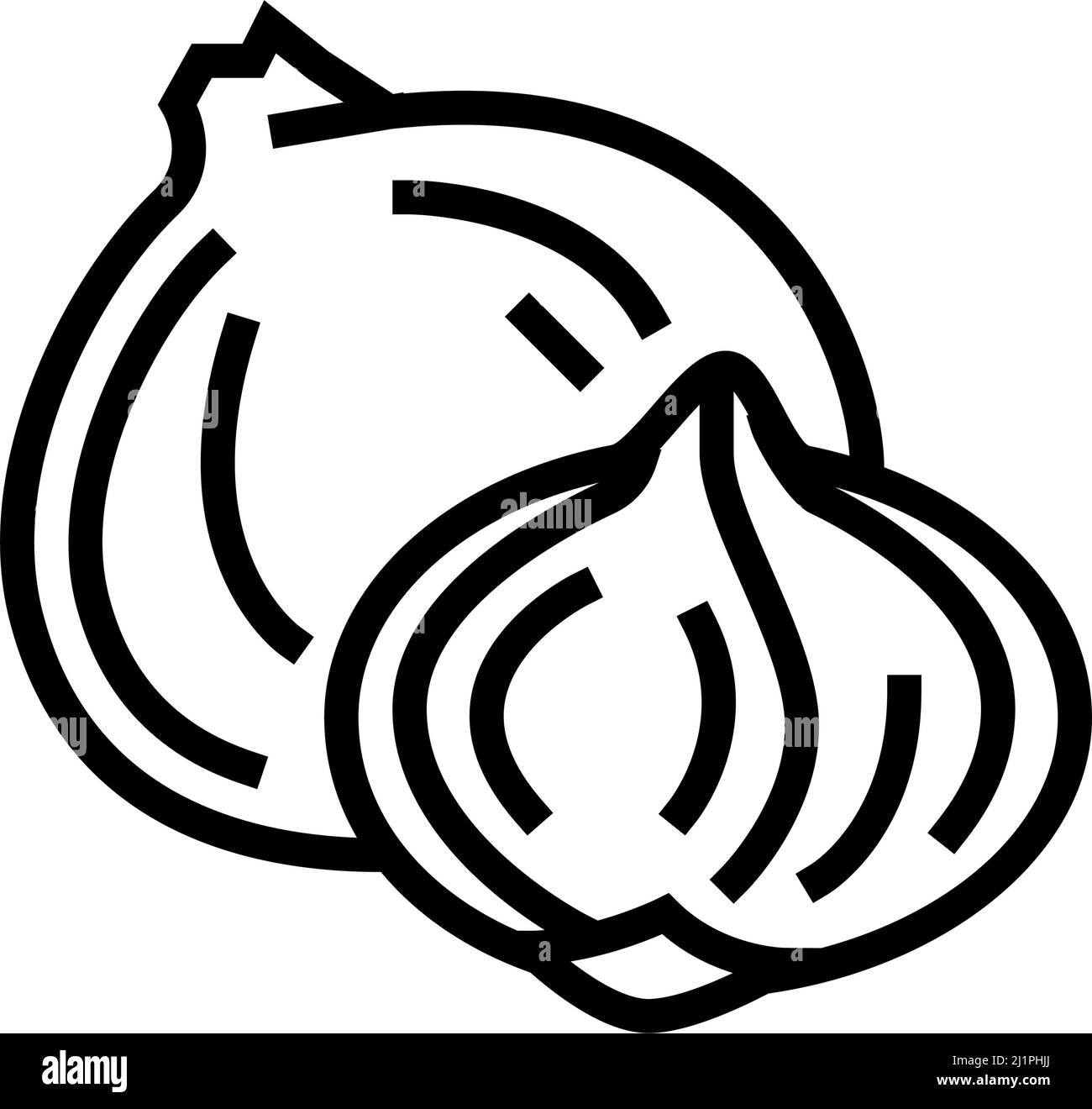 purple onion line icon vector illustration Stock Vector Image & Art - Alamy