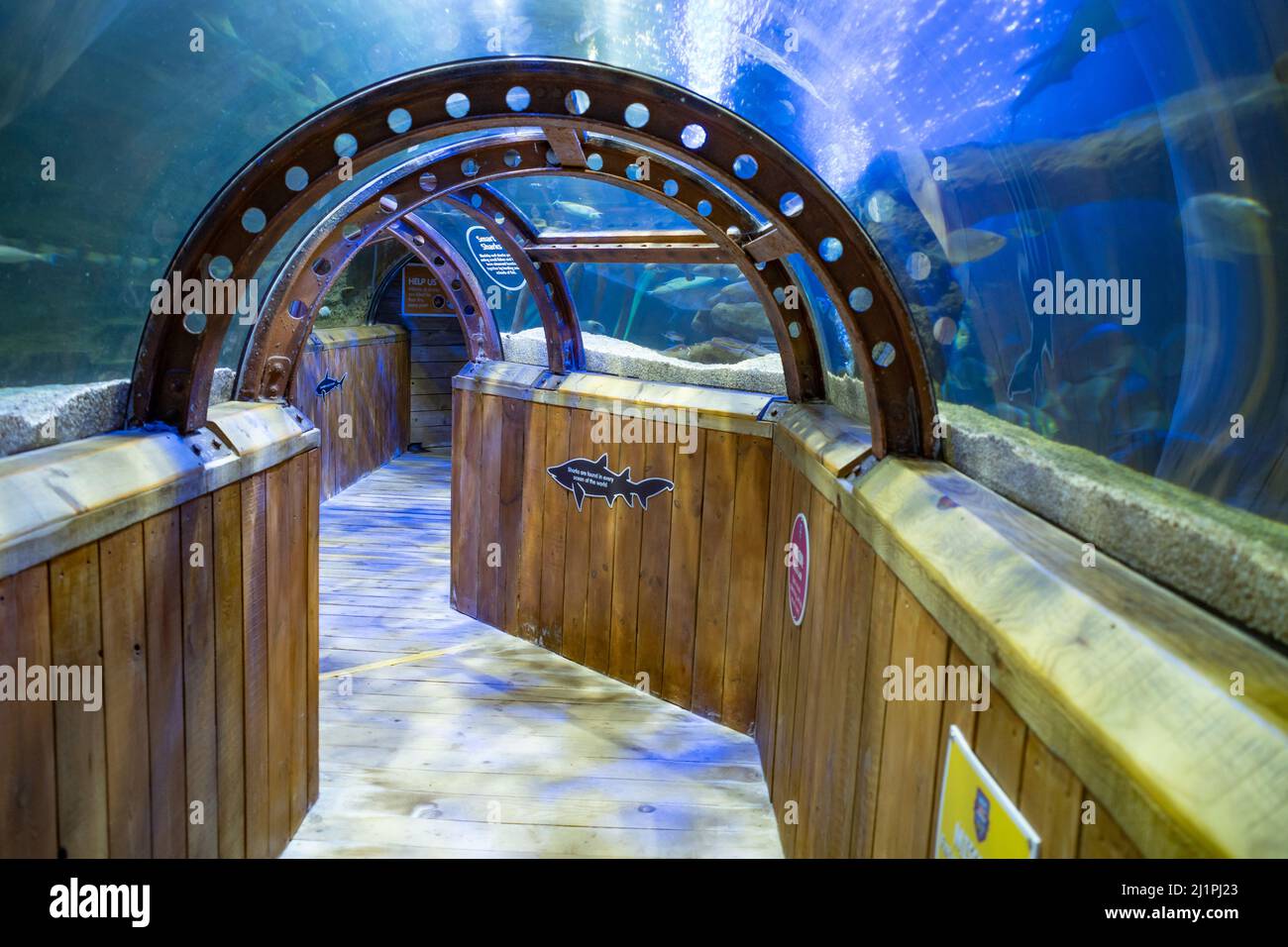 The path through the walk-through aquarium fish tank in Hunstanton Sea ...
