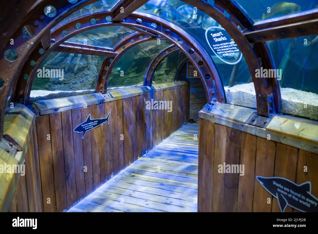 The path through the walk-through aquarium fish tank in Hunstanton Sea ...