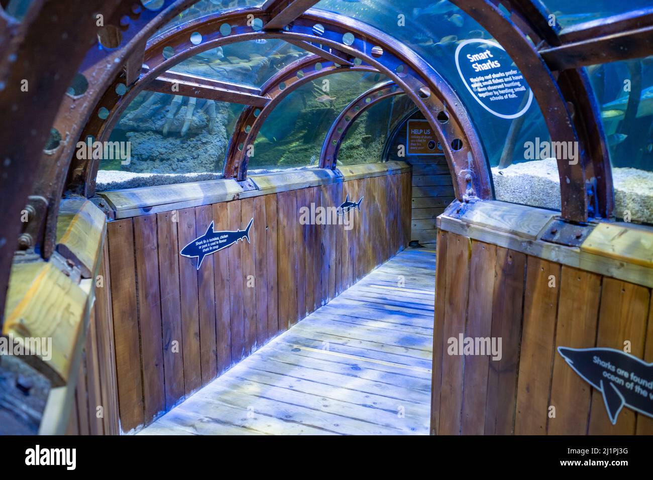 Hunstanton sea life centre hi-res stock photography and images - Alamy