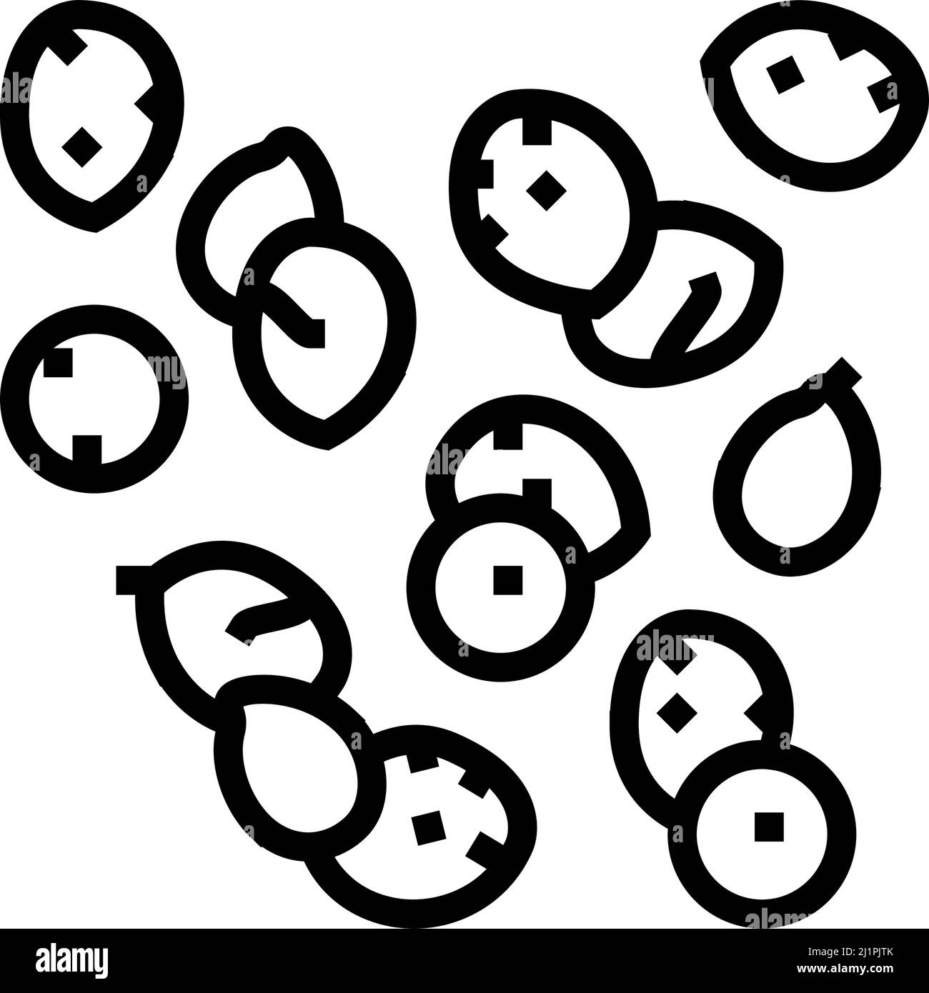 millet seed line icon vector illustration Stock Vector Image & Art - Alamy