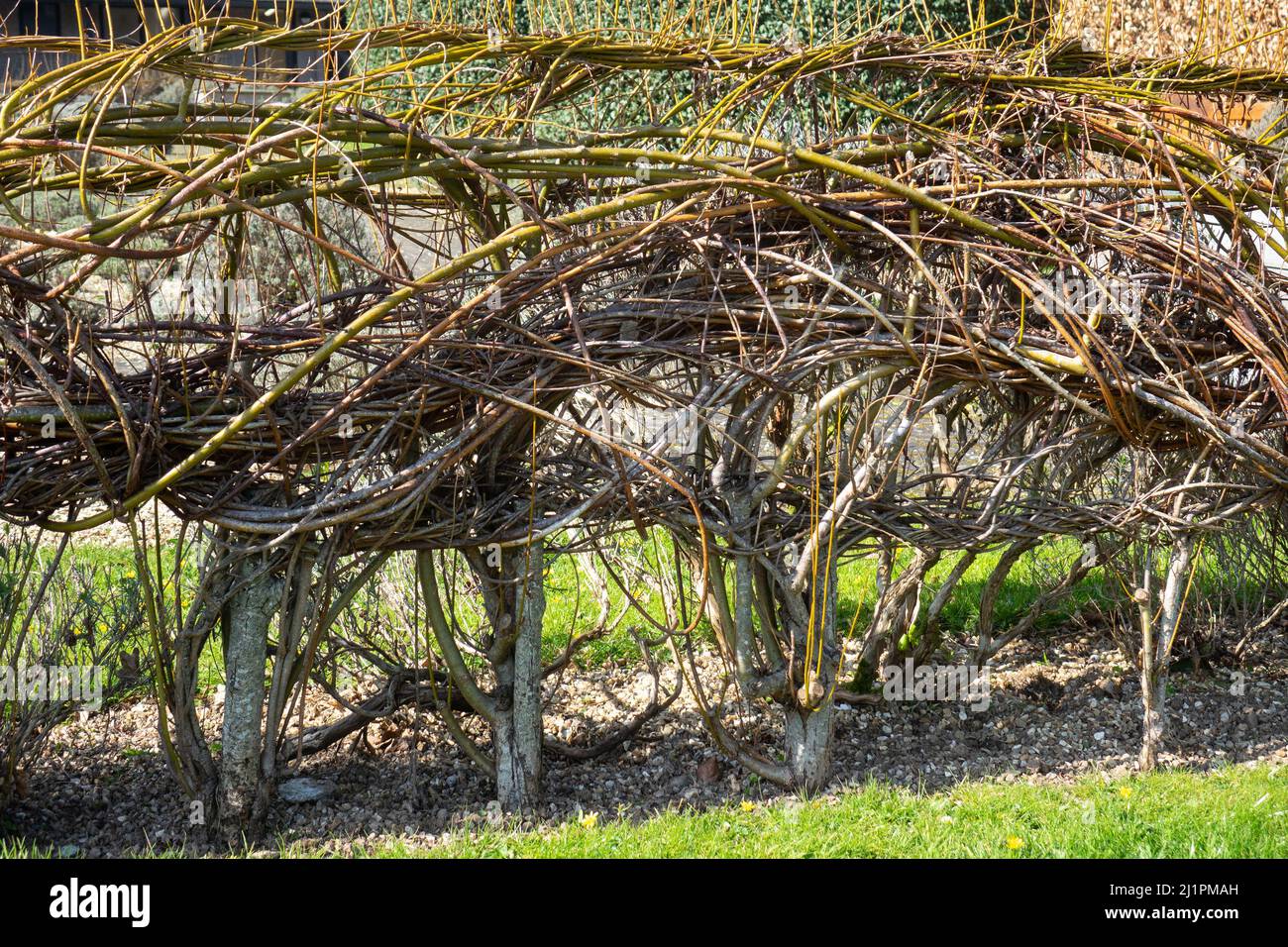 Craft hedge hi-res stock photography and images - Alamy