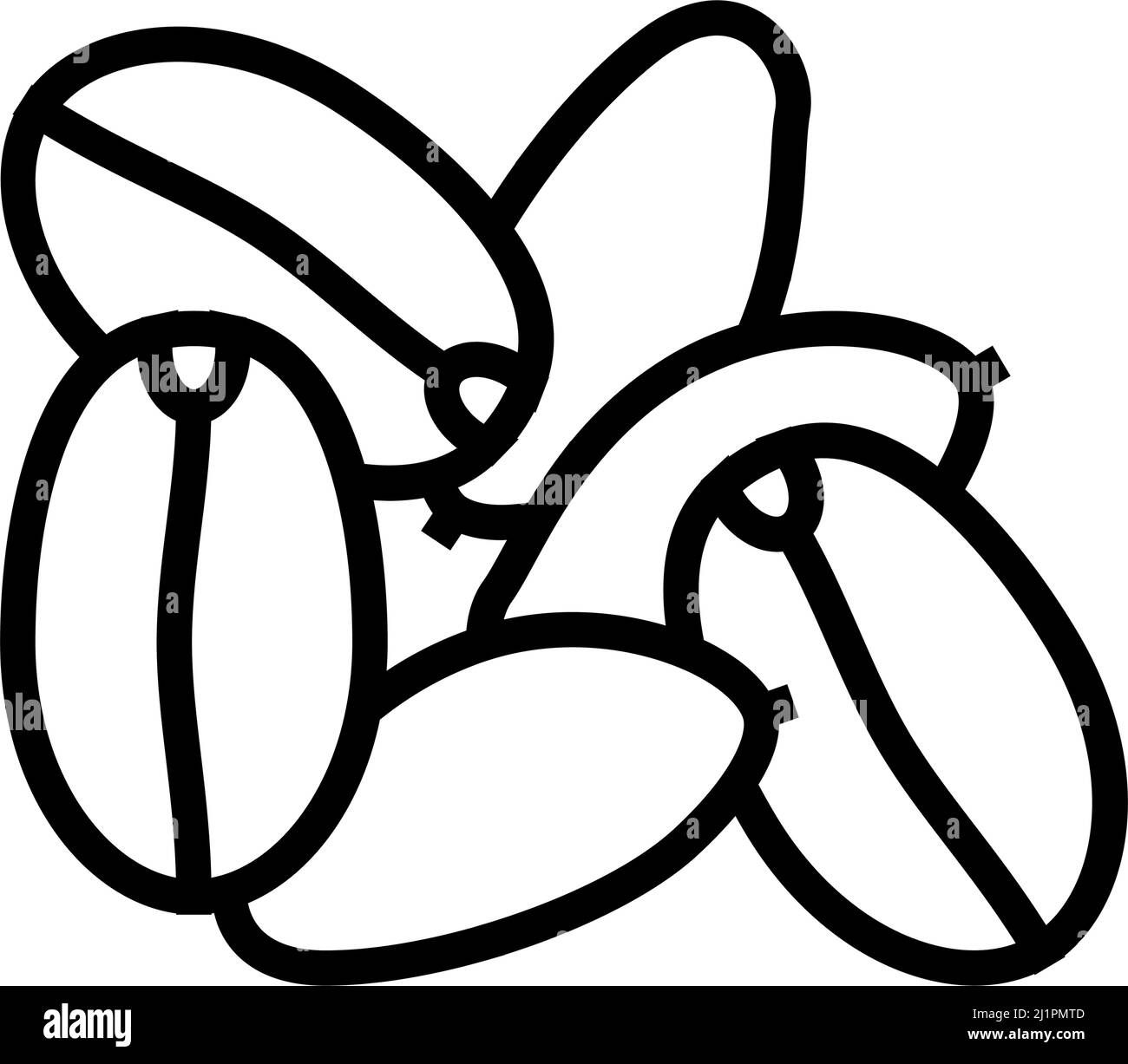 spelt seed line icon vector illustration Stock Vector Image & Art - Alamy