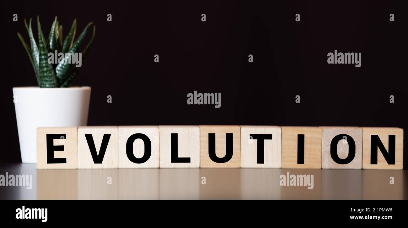the inscription of the gray word evolution of gray small wooden letters ...