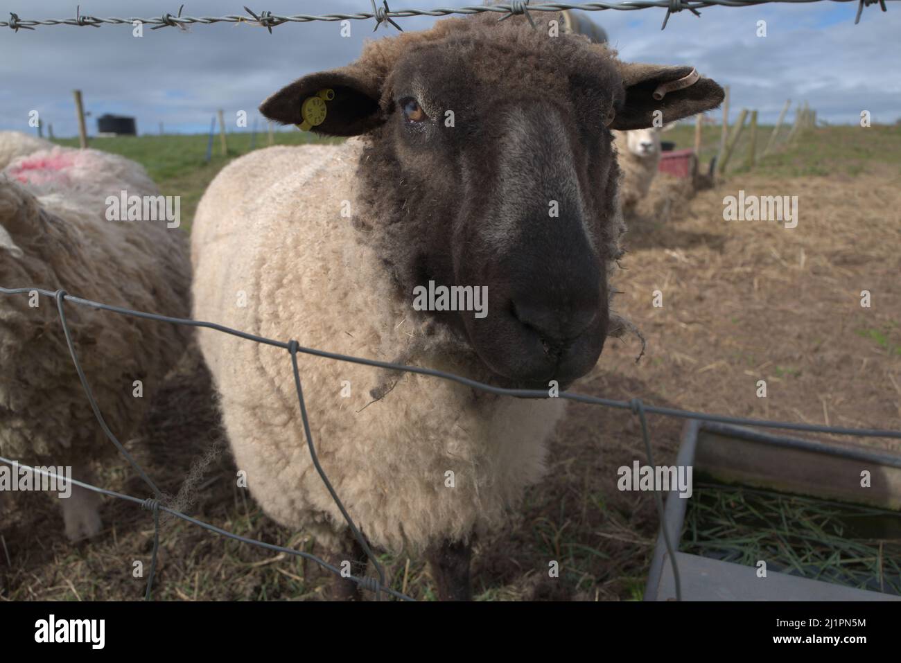 Englad spring hi-res stock photography and images - Alamy