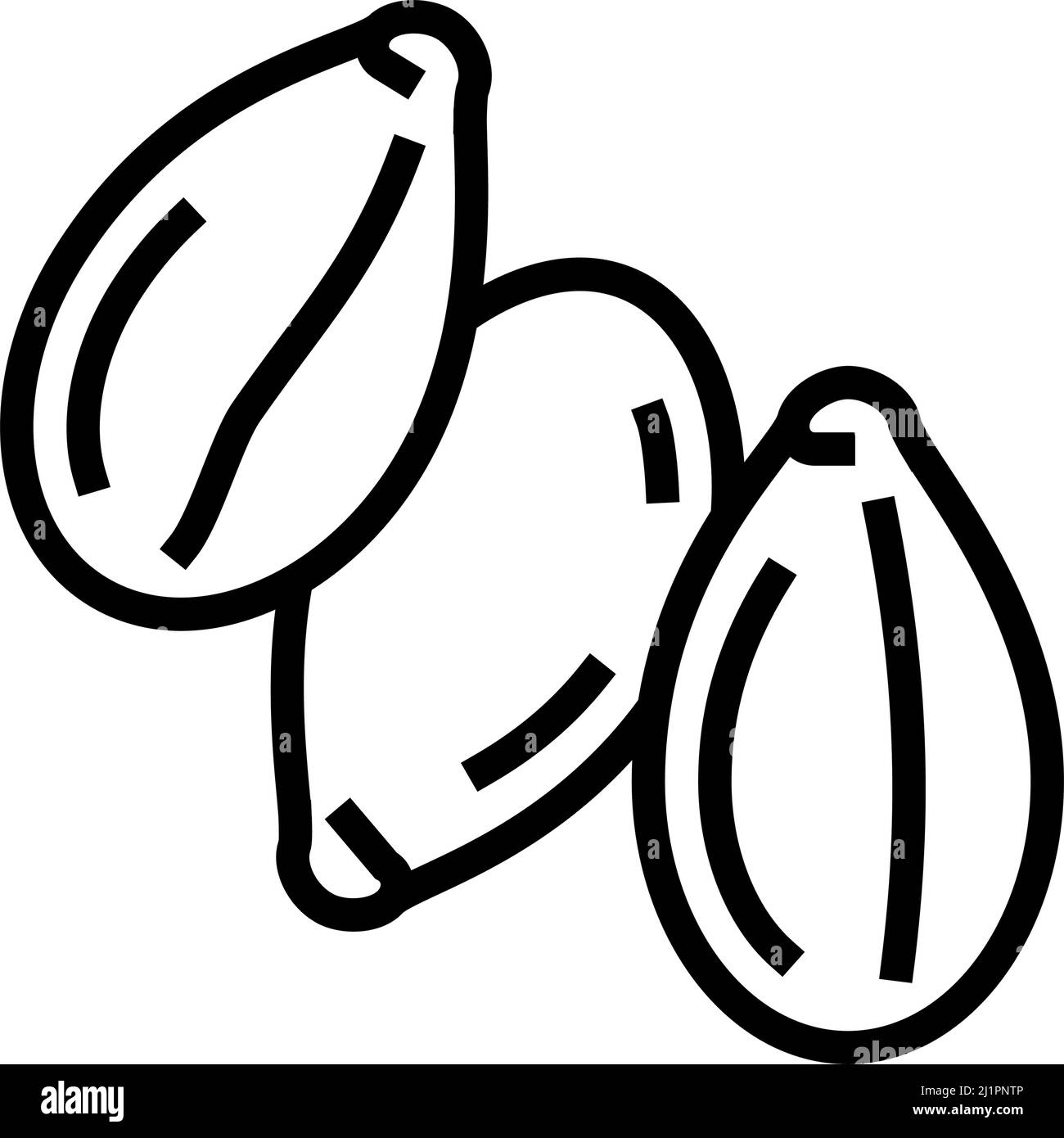 sesame seed line icon vector illustration Stock Vector Image & Art - Alamy