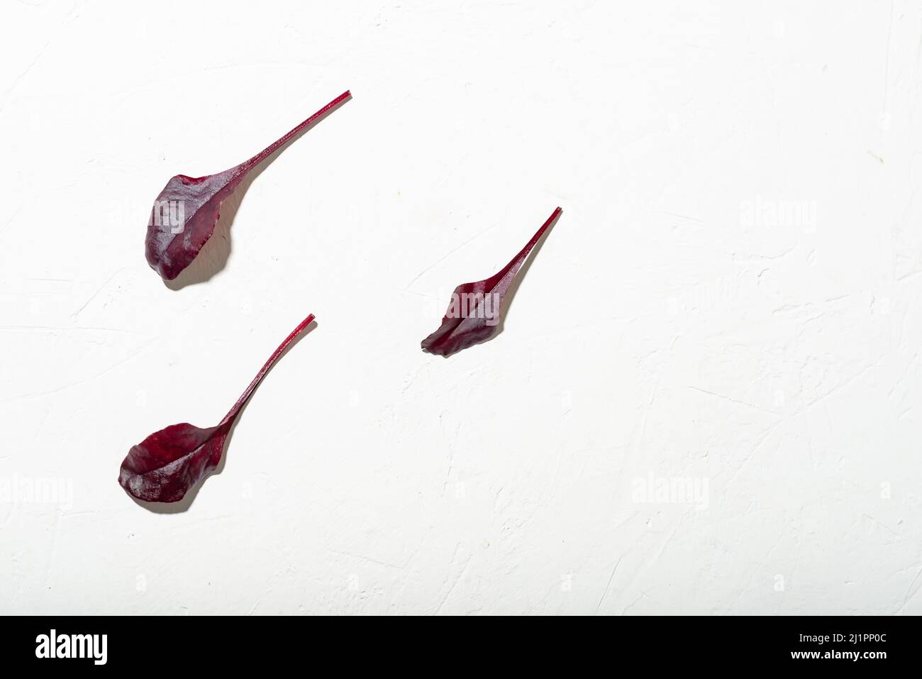 Three leaves of red chard lettuce on a white plate. Vegetarianism ...