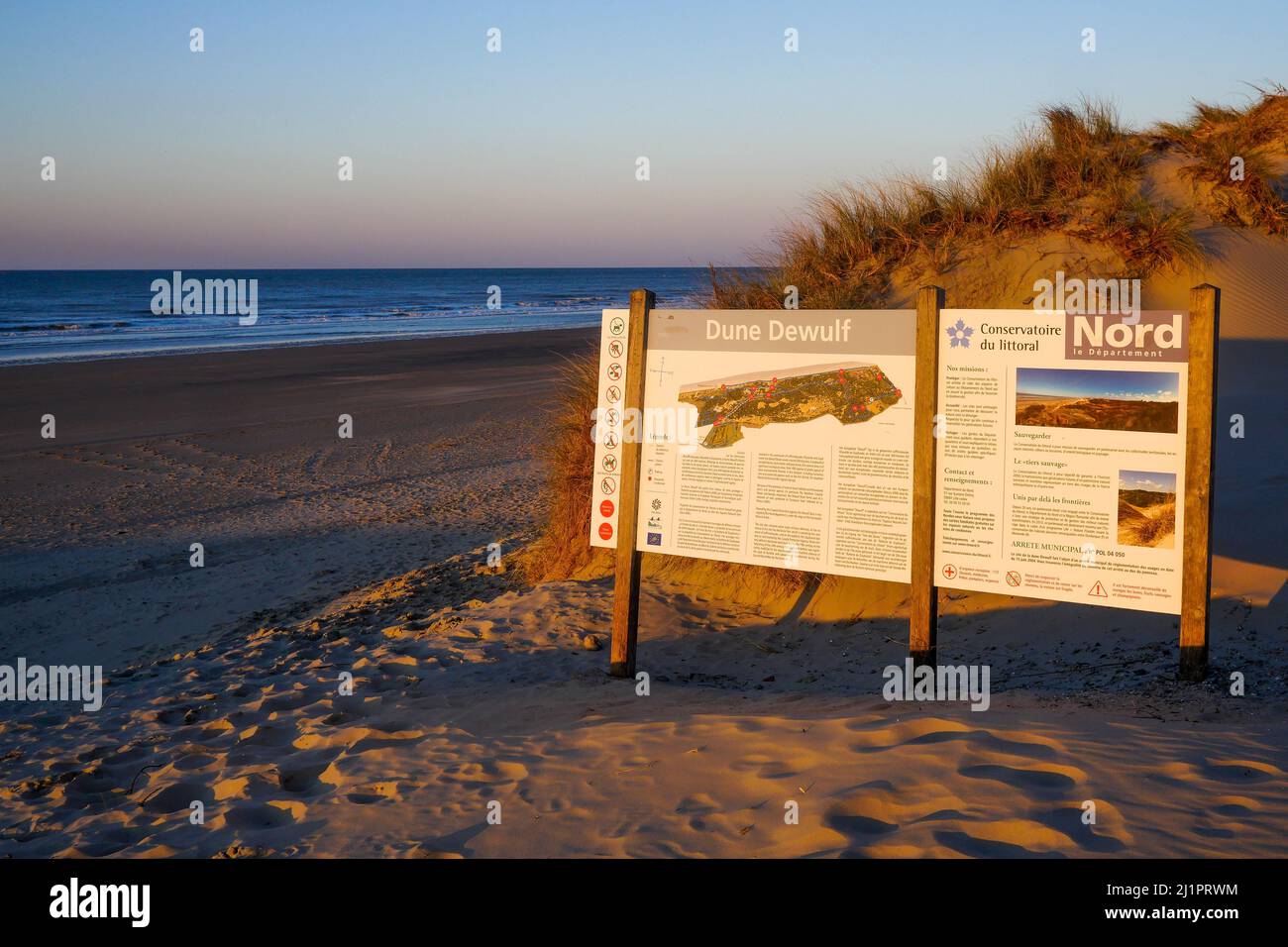 Dewulf Dune, Leffrinckoucke, Nord department in northern France, Hauts ...