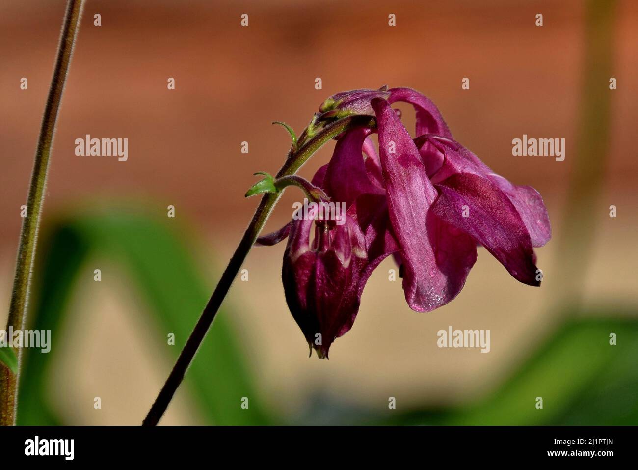 Spring catchment hi-res stock photography and images - Alamy