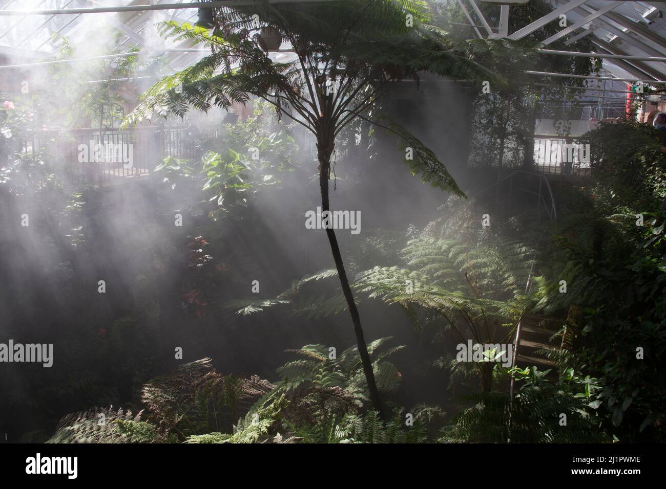 The Tropical Ravine House in the Botanic Gardens Belfast, Northern ...