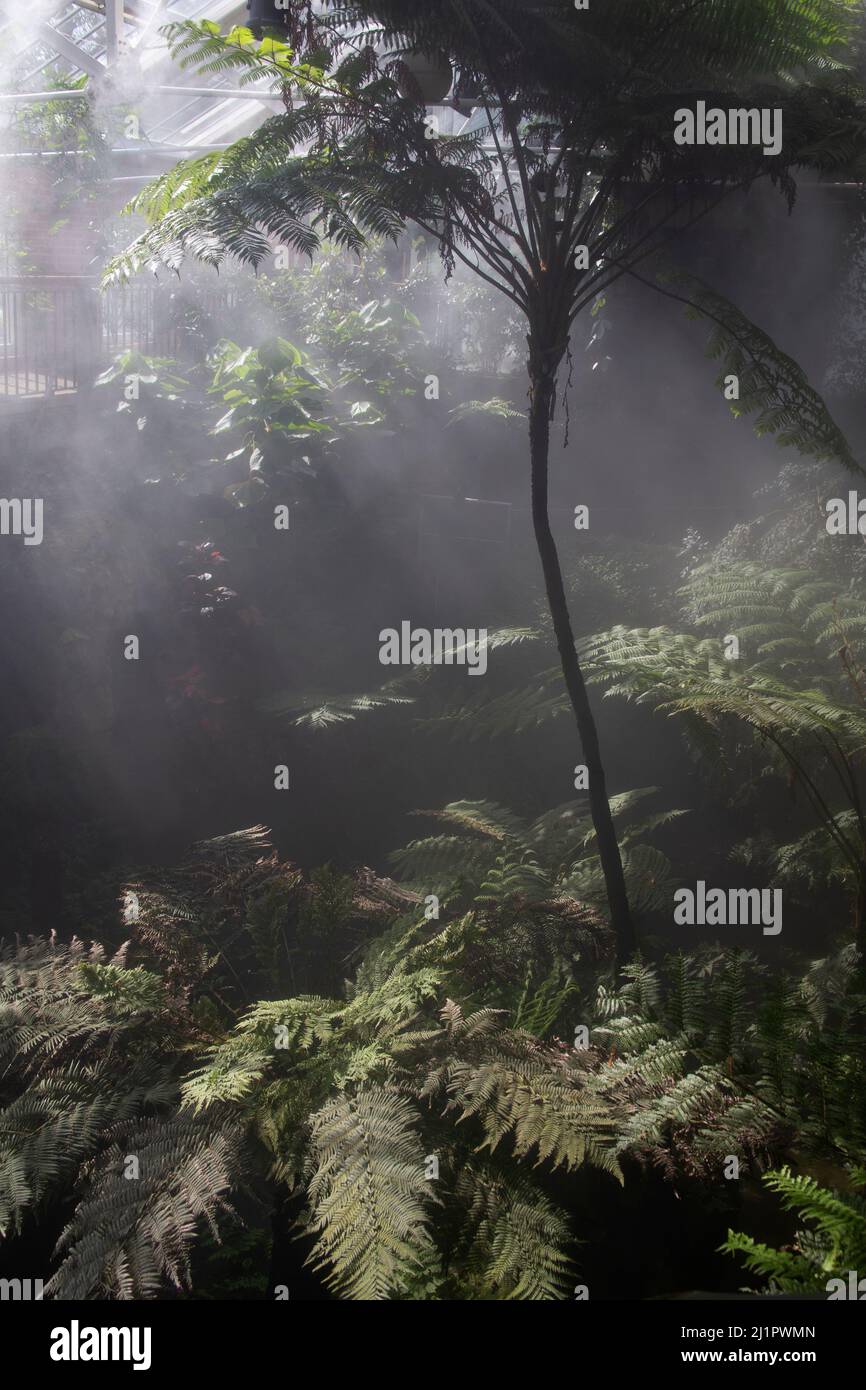 The Tropical Ravine House in the Botanic Gardens Belfast, Northern ...
