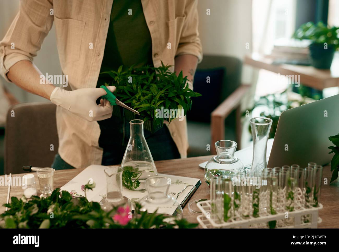 I just need a tiny bit for this experiment. Cropped shot of an ...