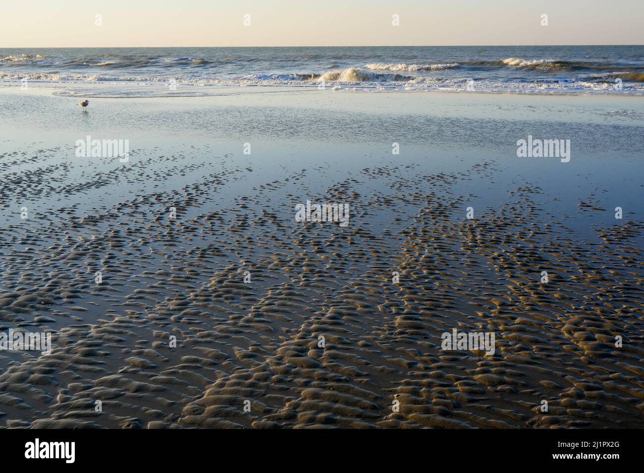 Leffrinckoucke, Nord department in northern France, Hauts-de-France ...