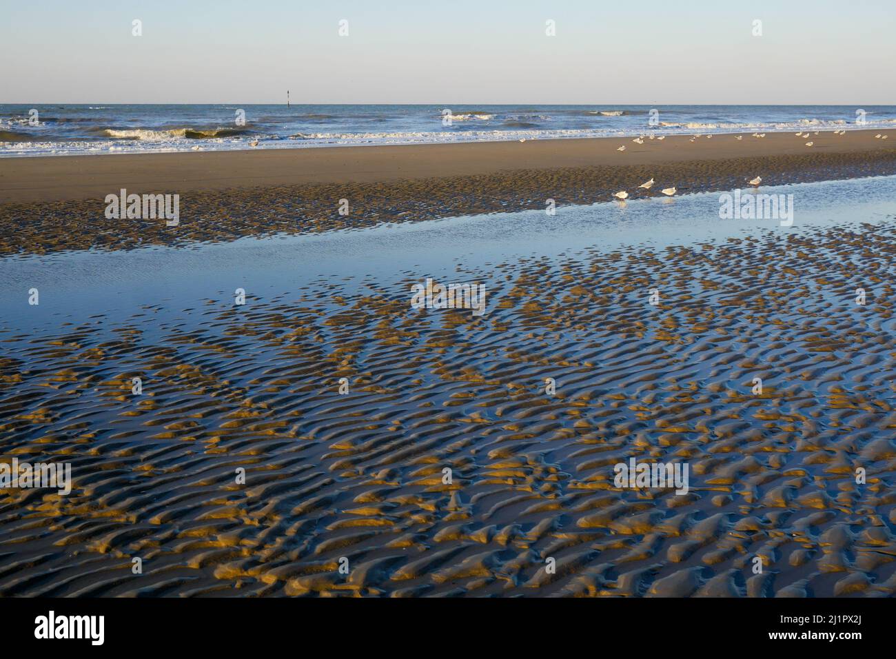 Leffrinckoucke, Nord department in northern France, Hauts-de-France ...