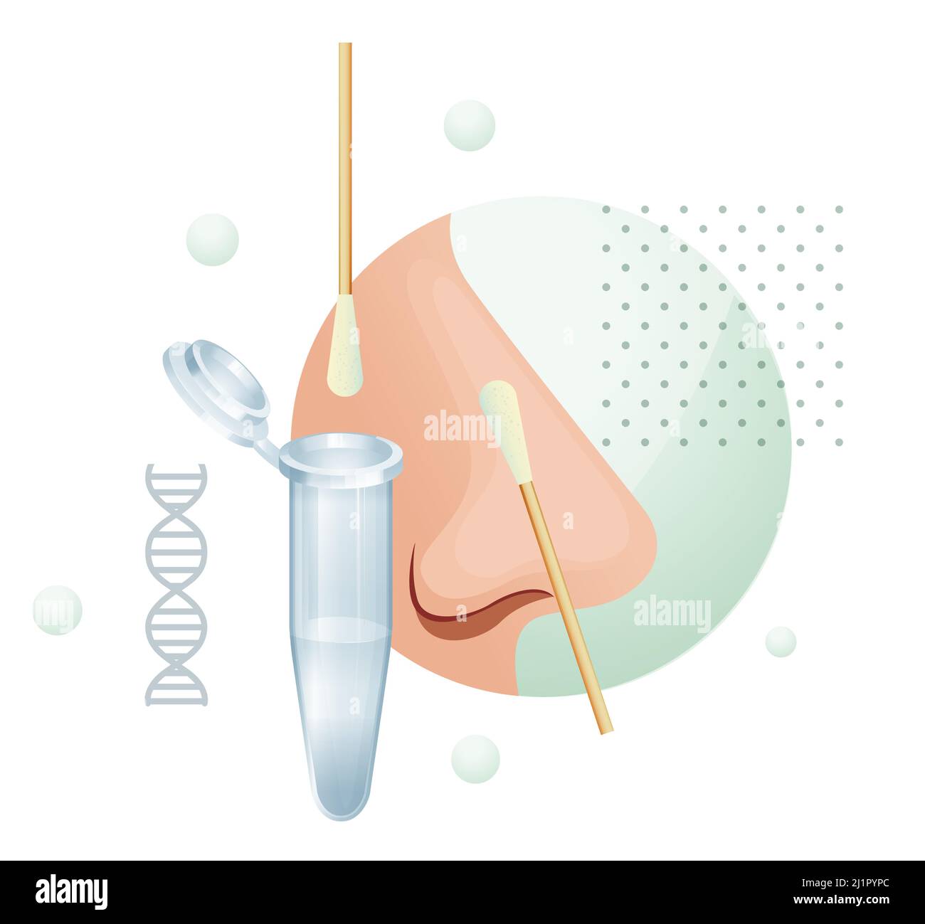 Nasal swab tests Stock Vector Images - Alamy