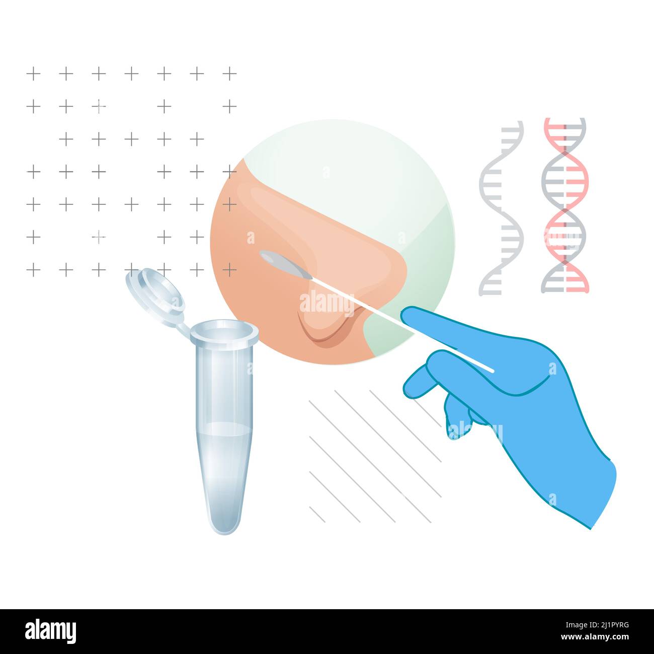 Nasal Swab - RT- PCR Testing - Stock Illustration as EPS 10 File Stock ...