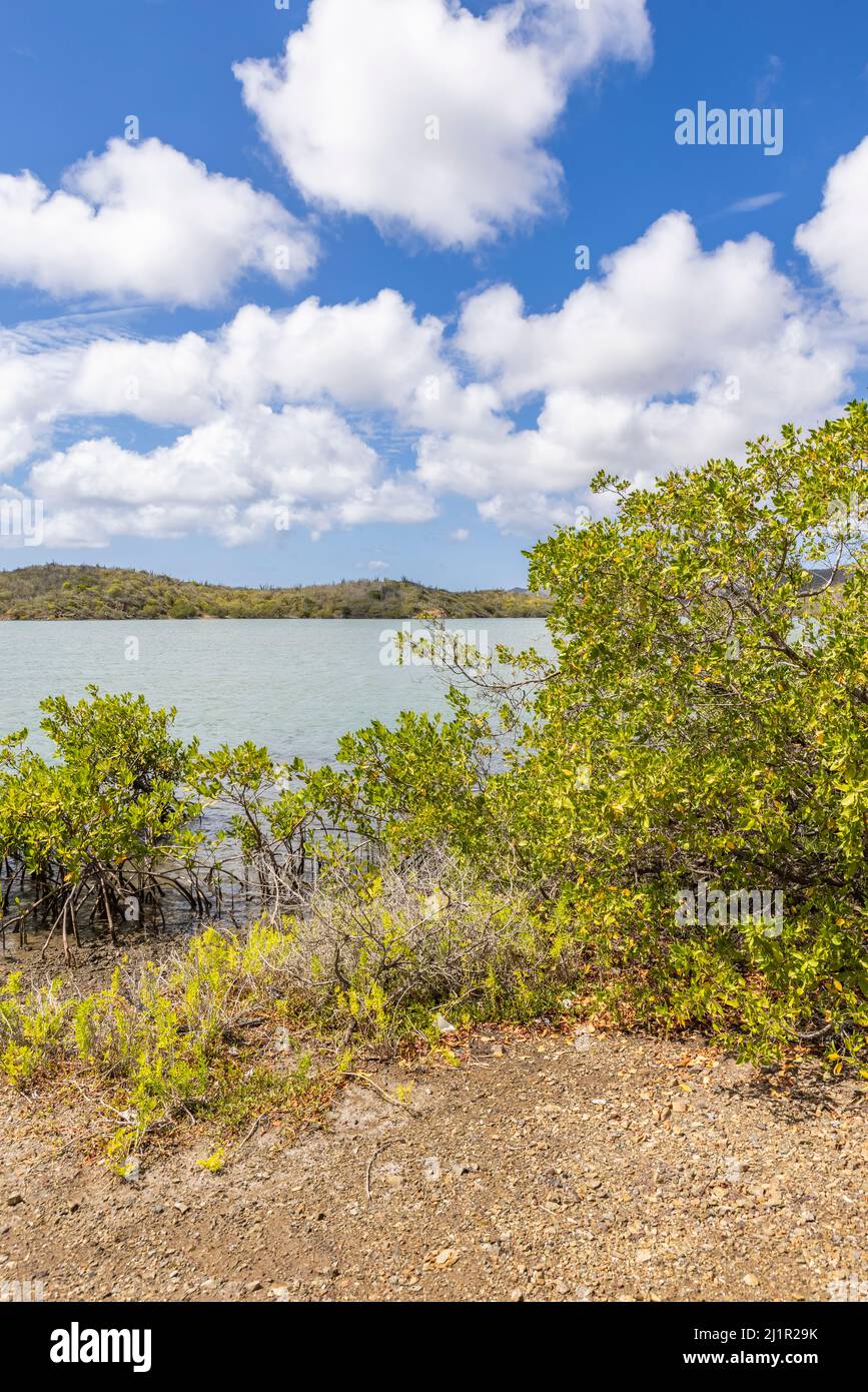 Beautiful Santa Martha Bay on the island Curacao in the Caribbean Stock ...