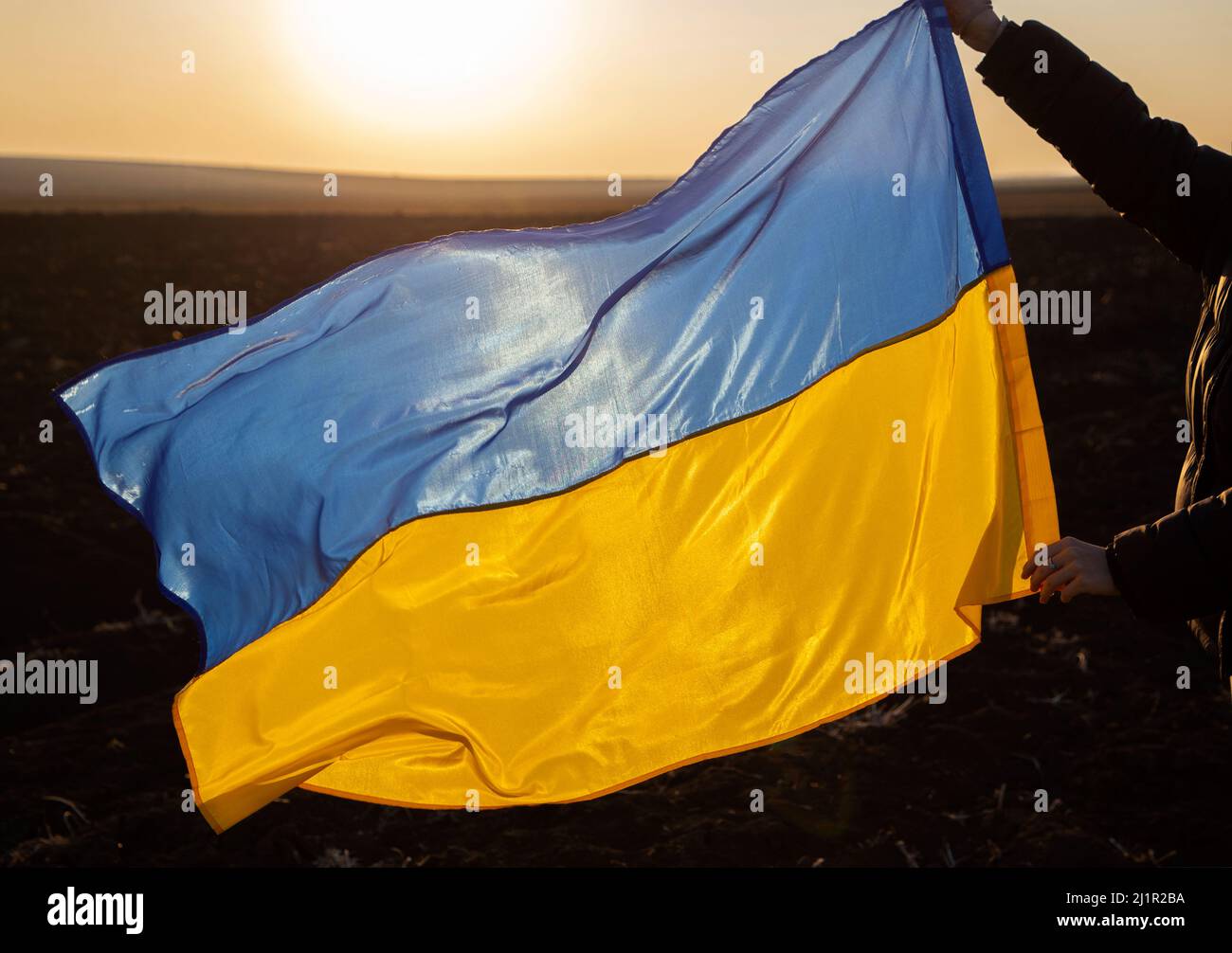 Ukrainian yellow-blue flag against of setting sun in backlight ...