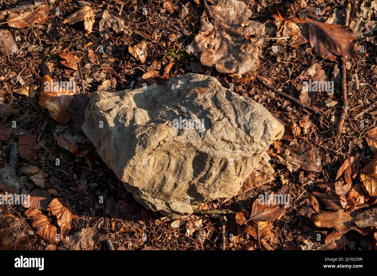 Large lump of ganister, a silica-rich sandstone, with uneven natural ...