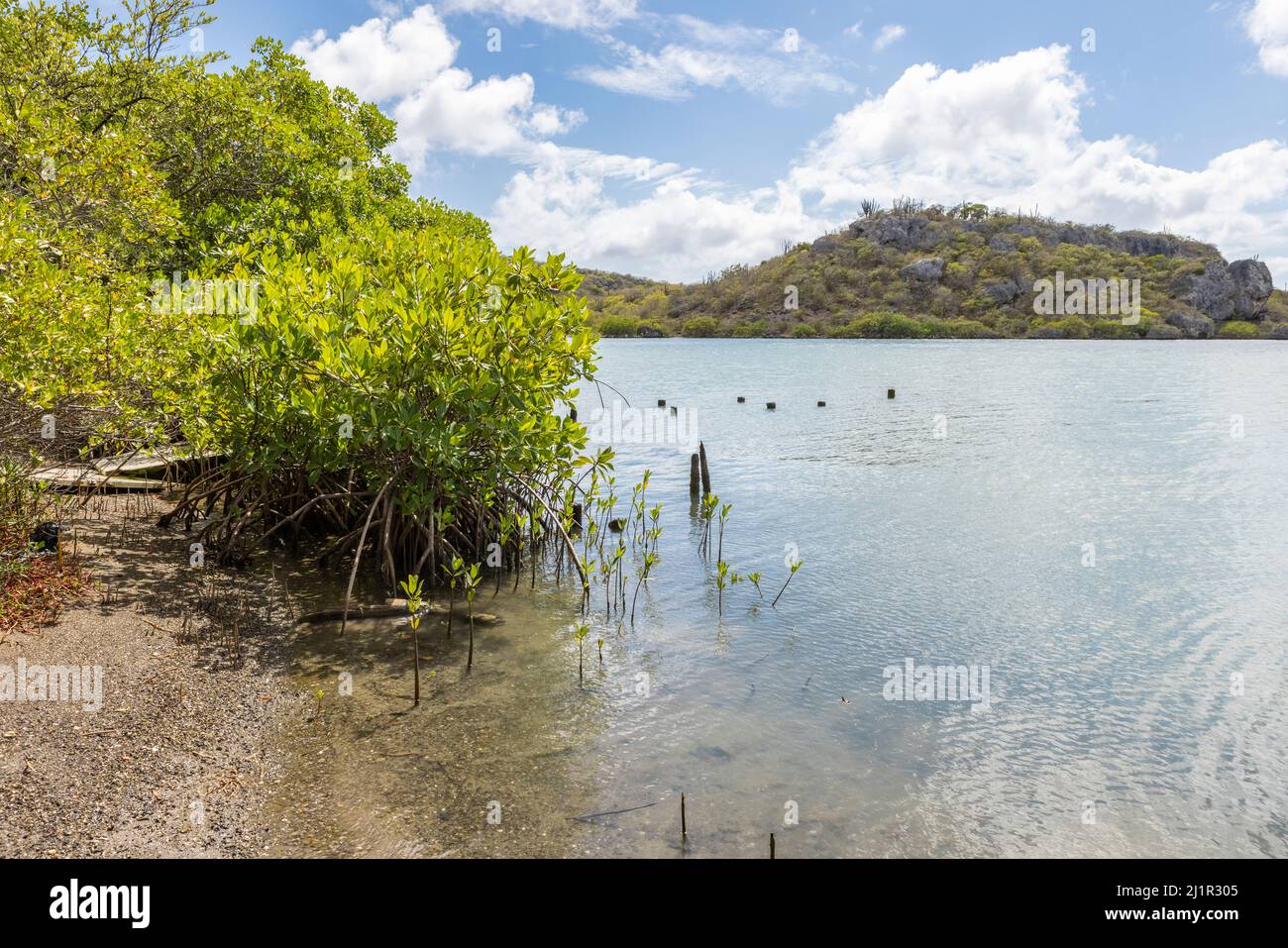 Beautiful Santa Martha Bay on the island Curacao in the Caribbean Stock ...