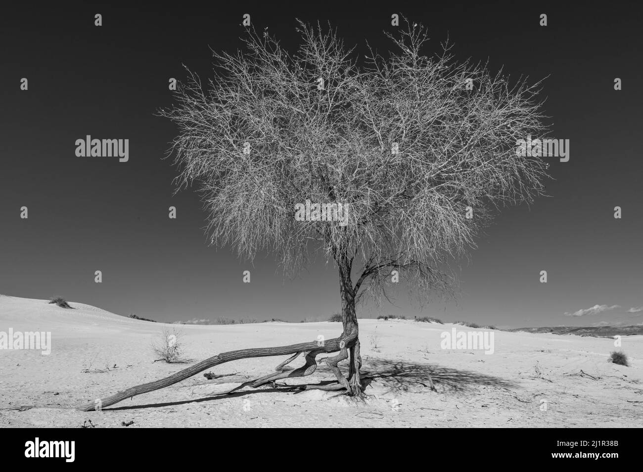 In the sands Black and White Stock Photos & Images - Alamy