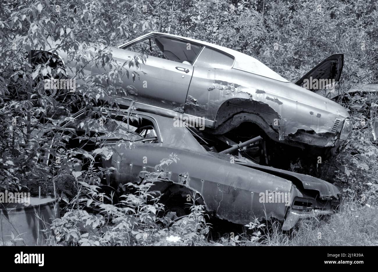 Old cars in scrap yard. Black and White image. Ontario Canada Stock ...
