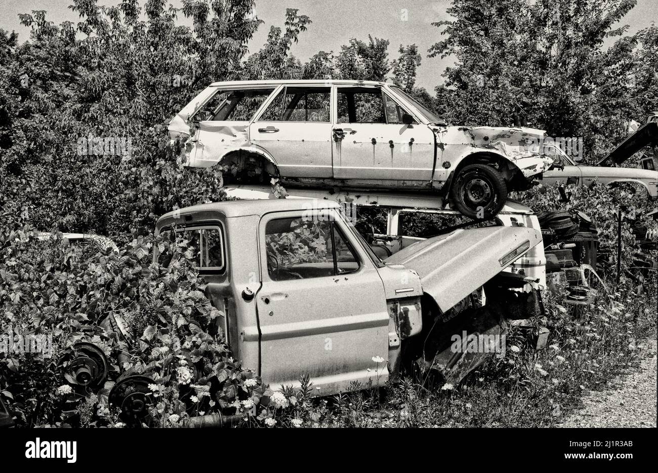 Old cars in scrap yard. Black and White image. Ontario Canada Stock ...
