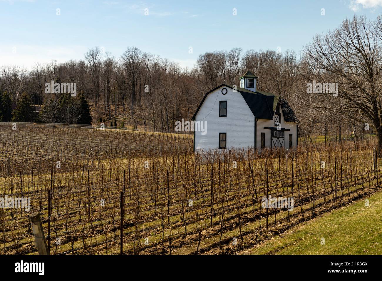 Vineyards niagara fruit belt hi-res stock photography and images - Alamy