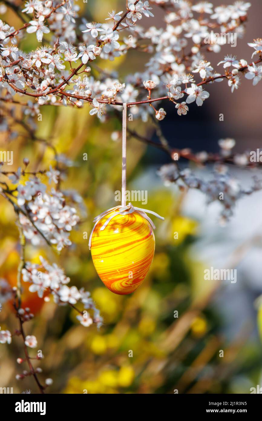a colorful easter egg hangs on a flowering shrub in the garden Stock ...