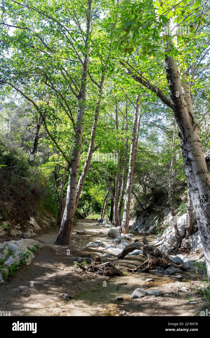 Switzer falls trail hi-res stock photography and images - Alamy