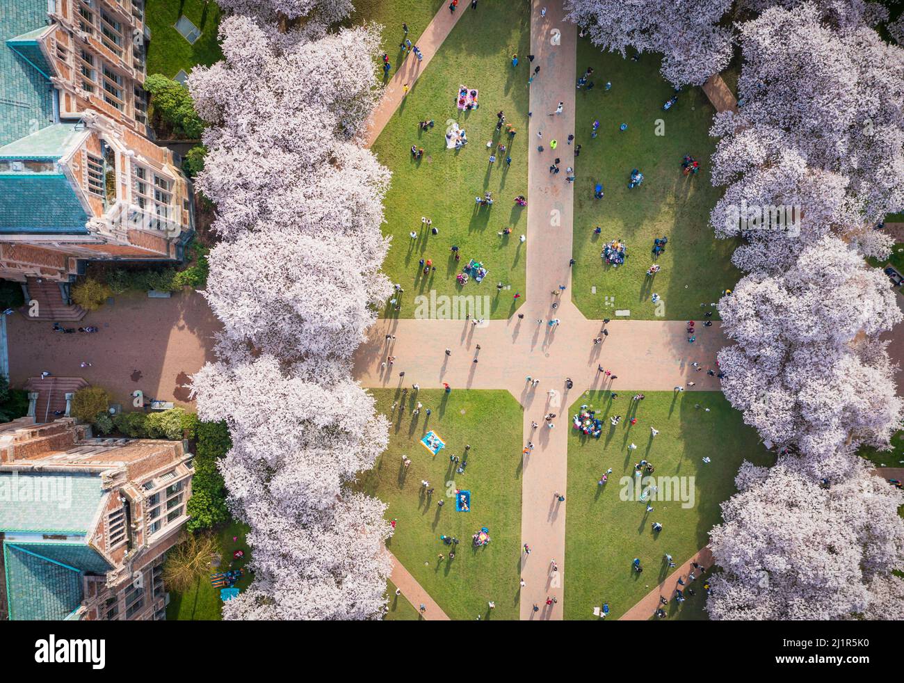 School building architecture student walking brick wall hi-res stock ...