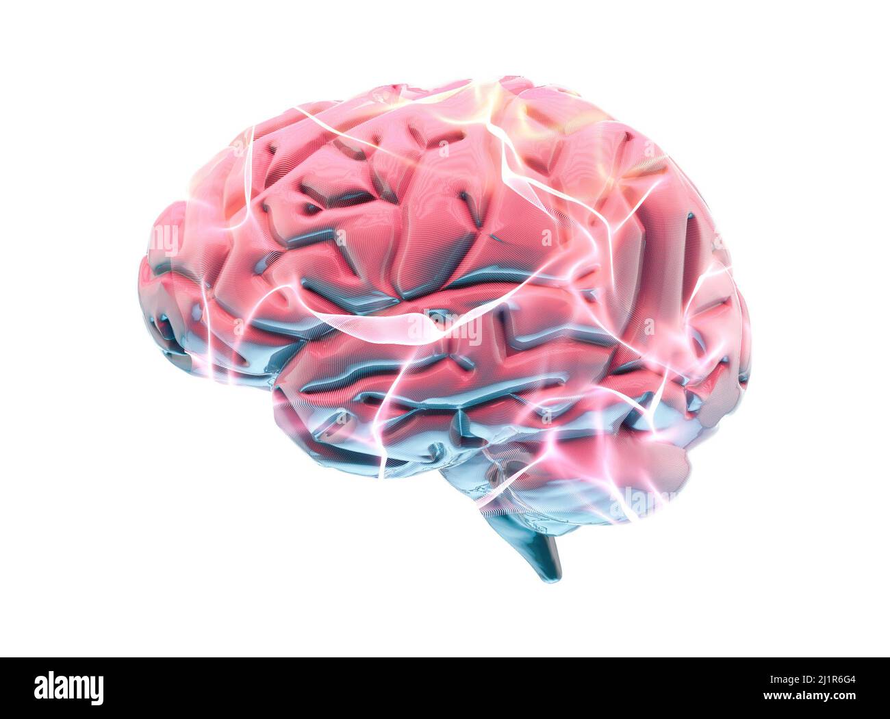 How the brain works. Synapses and neurons. Connections. Take care of ...