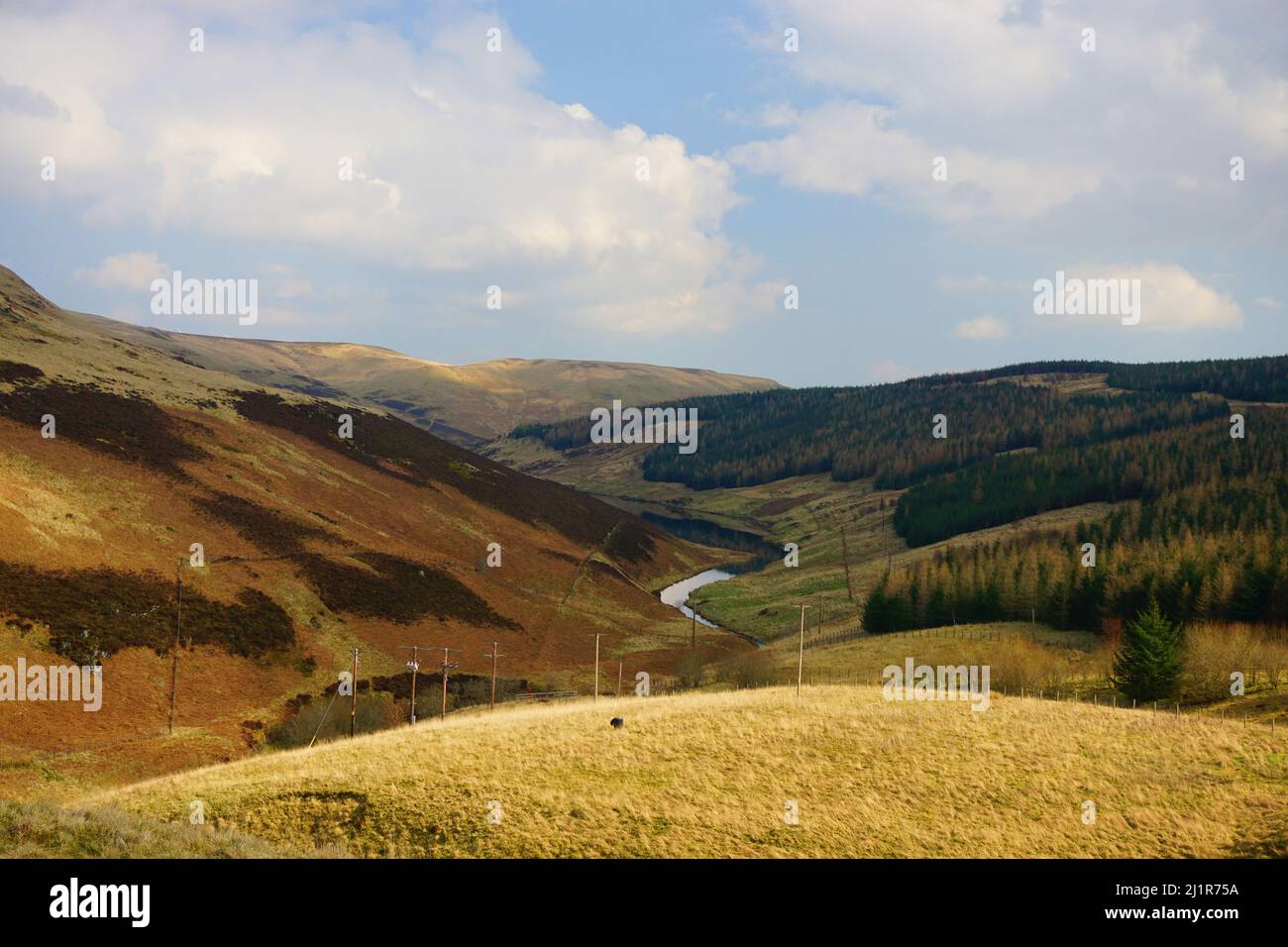 Lower glendevon reservoir hi-res stock photography and images - Alamy