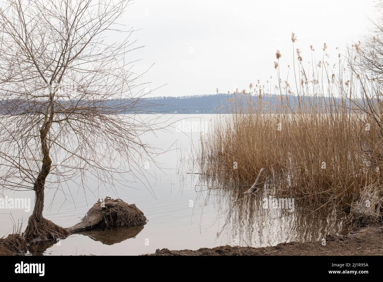 Lake Vico (Lago di Vico) in Viterbo, Italy Stock Photo - Alamy