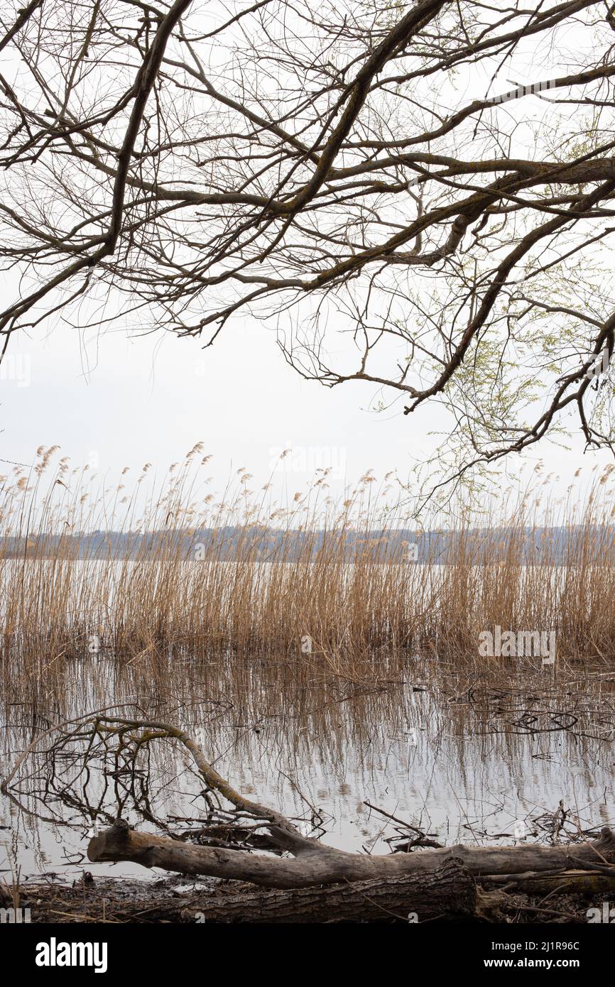 Lake Vico (Lago di Vico) in Viterbo, Italy Stock Photo - Alamy