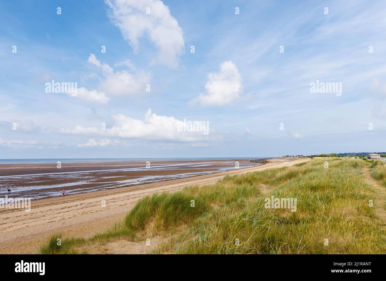 Sand dunes and coast path at Heacham North Beach, a coastal village in ...