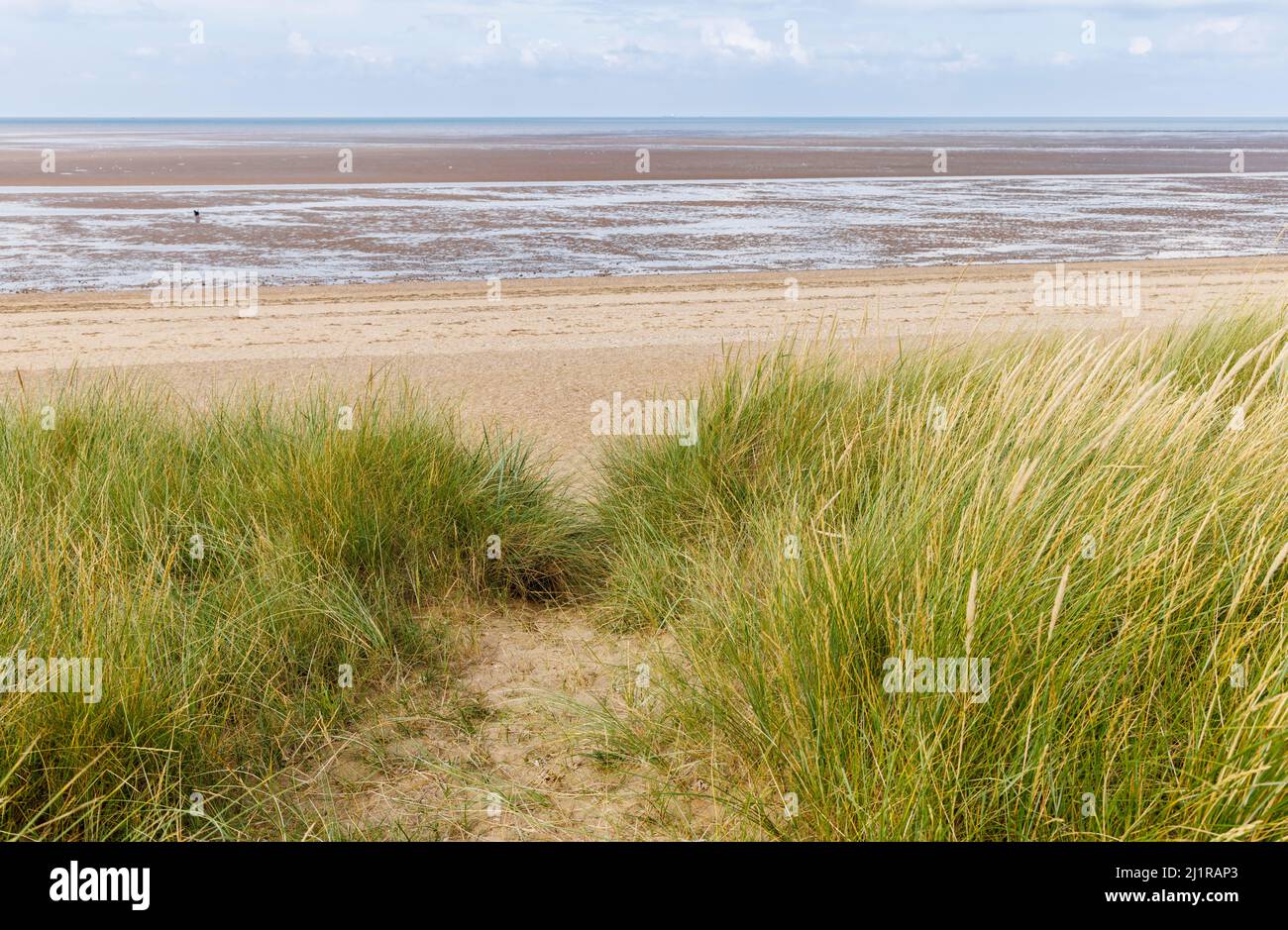 Sand dunes and coast path at Heacham North Beach, a coastal village in ...