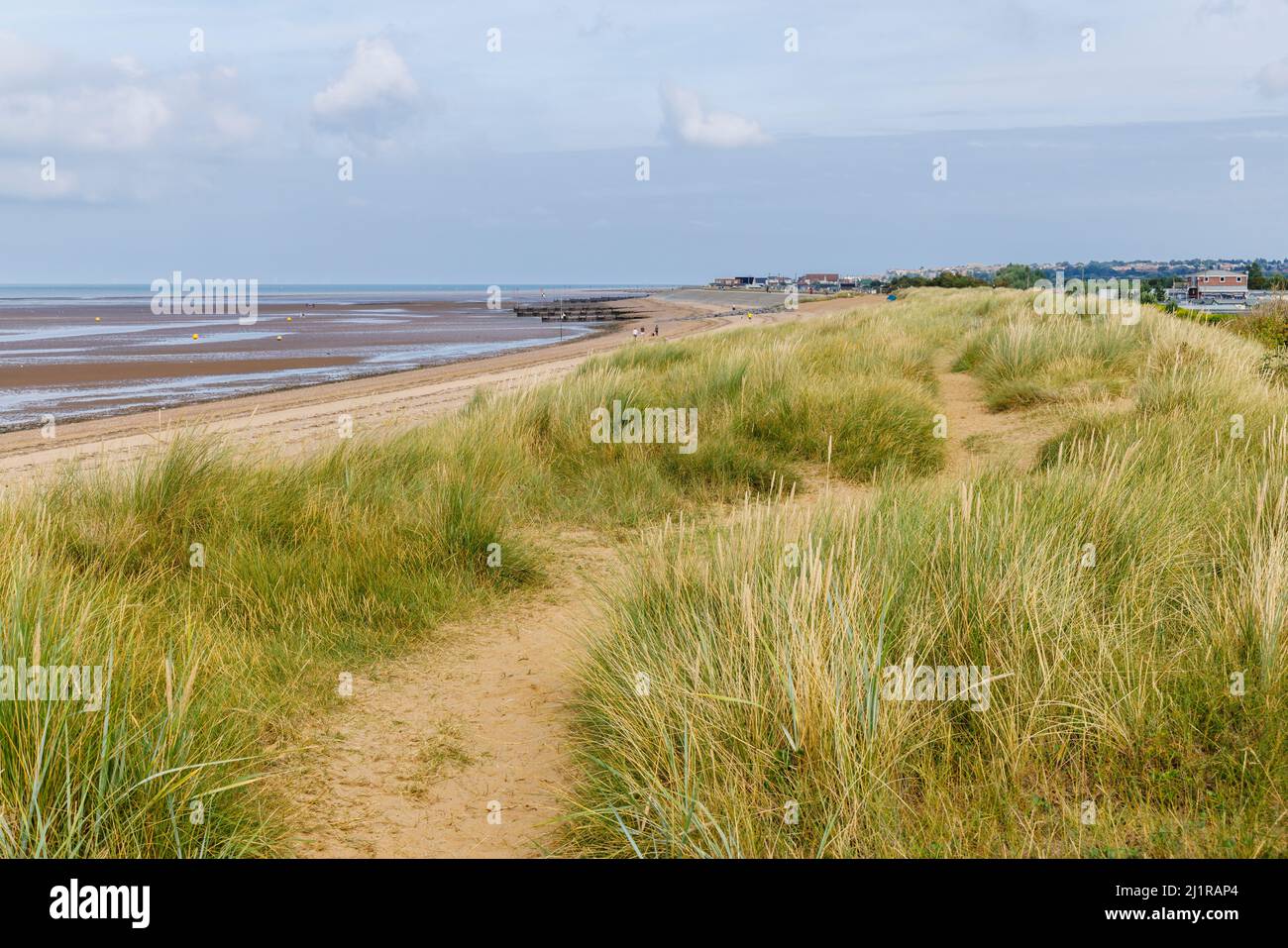 Sand dunes and coast path at Heacham North Beach, a coastal village in ...