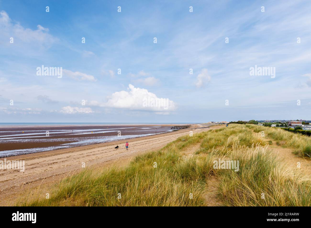 Sand dunes and coast path at Heacham North Beach, a coastal village in ...