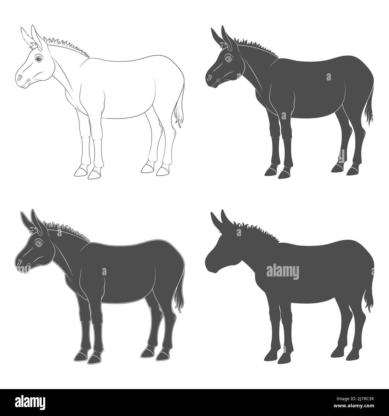 Set of black and white illustrations with donkey, mule. Isolated vector ...