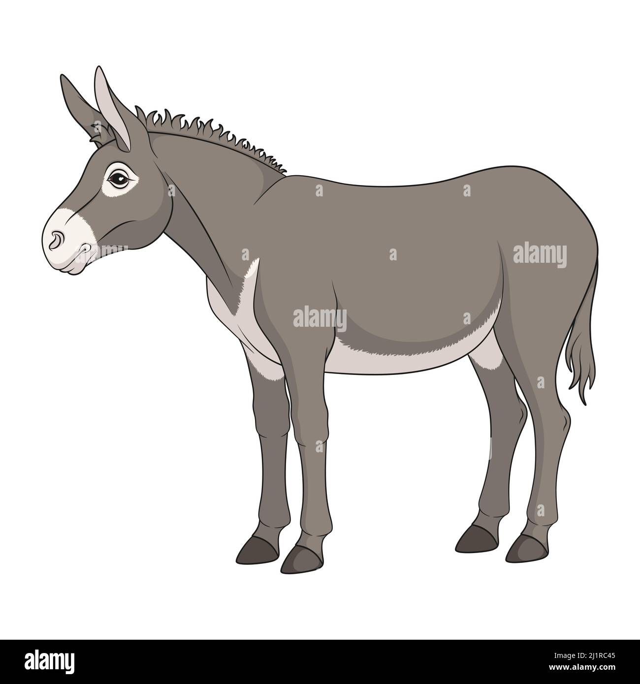 Clipart Donkeys Mules And Horses