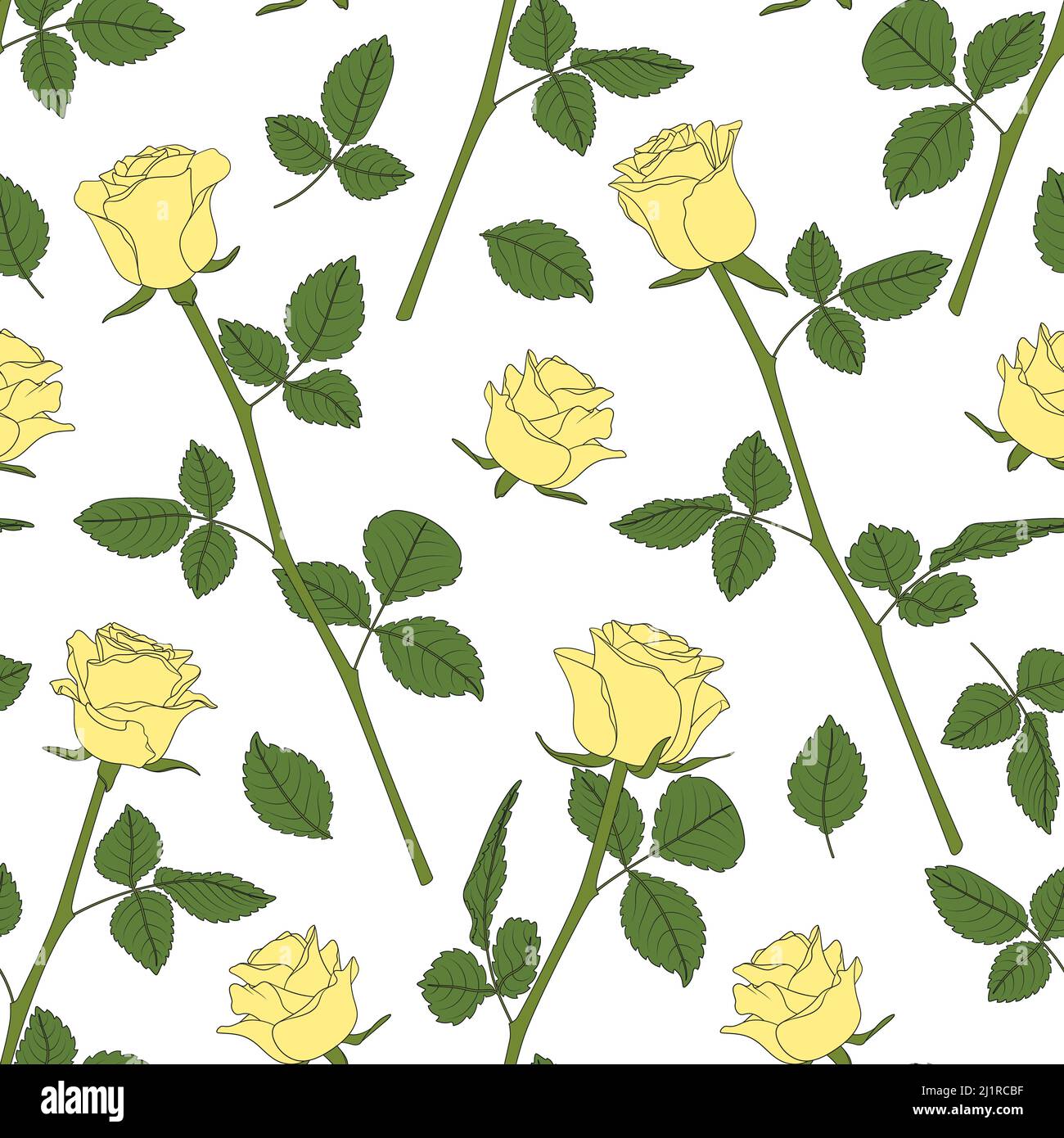 Yellow Rose Pattern