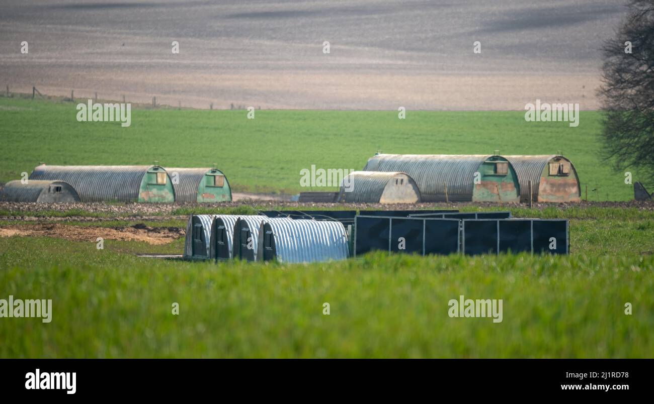 free range pig pens in open countryside Stock Photo - Alamy
