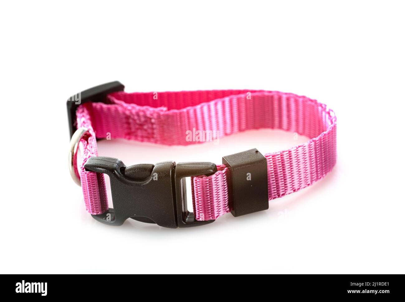 Colorful collar hi-res stock photography and images - Alamy