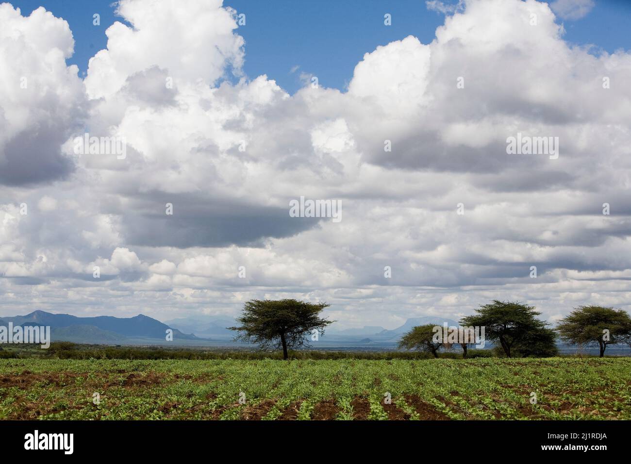 Farmers working on their land, Meru, Kenya Stock Photo - Alamy