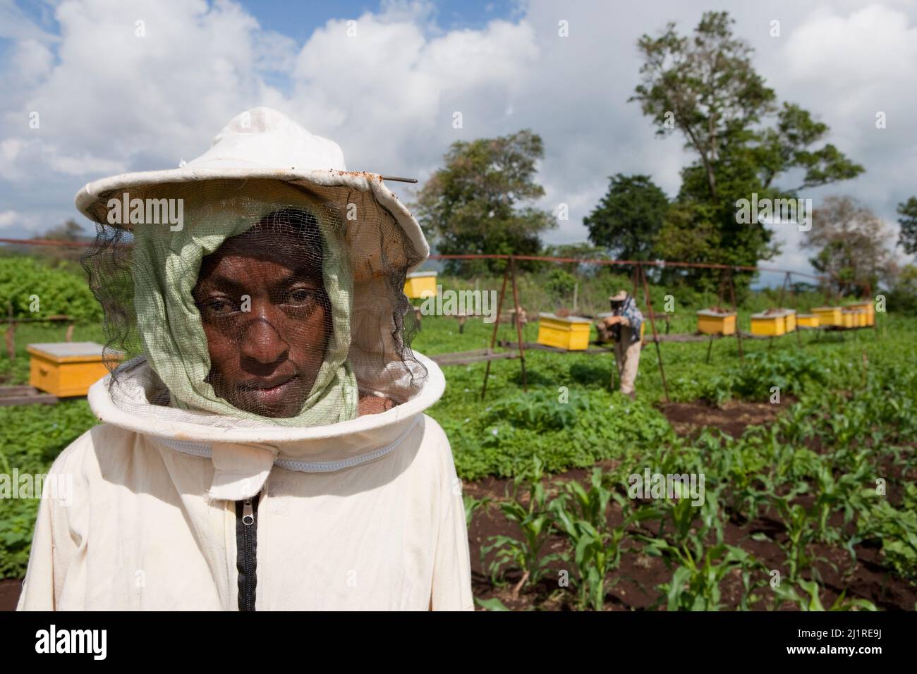 Bee-keeping and honey project, Mercy, in white bee suit. This is a ...