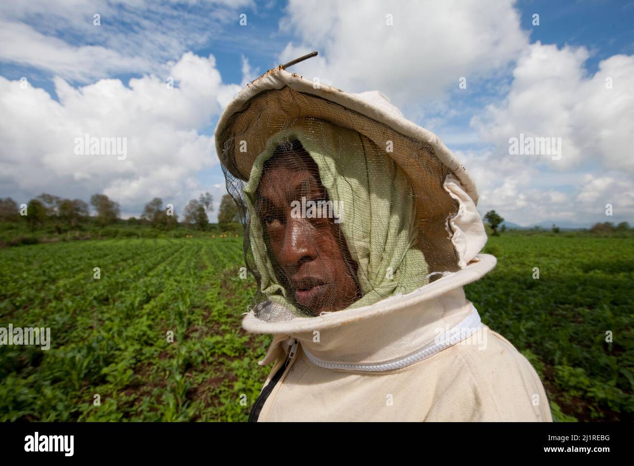 Bee-keeping and honey project, Mercy, in white bee suit. This is a ...
